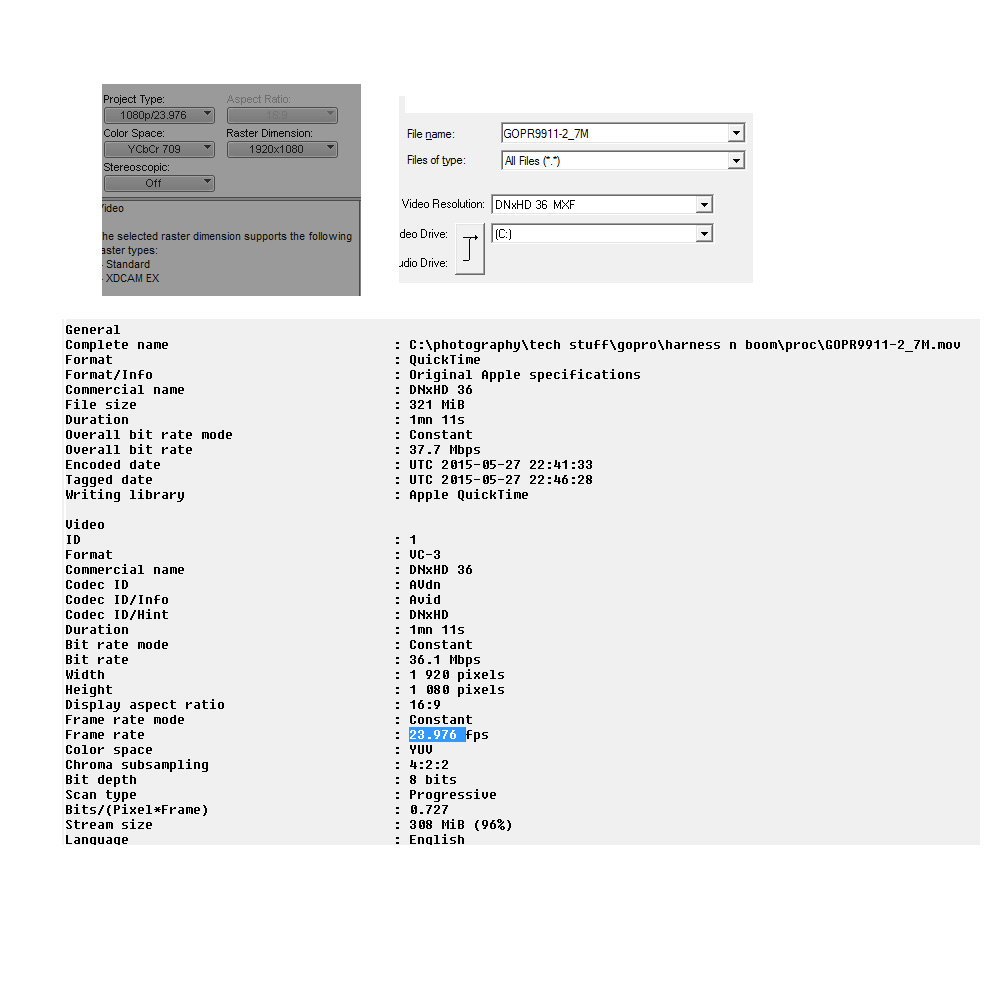 Cannot do DNxHD 36 quick import - Avid Community